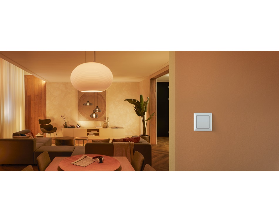 Hue Wall switch module 1-pack